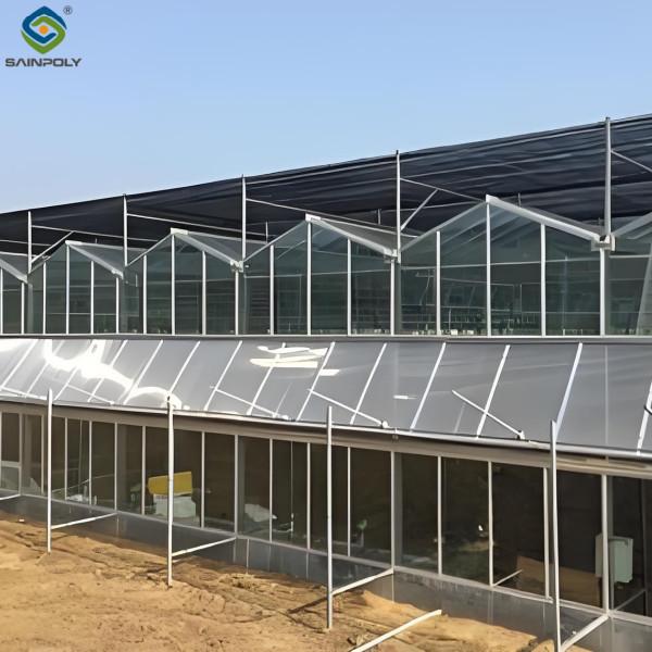 Quality Intelligent Venlo Glass Greenhouse For Tomato Strawberry Growing Turnkey Project for sale