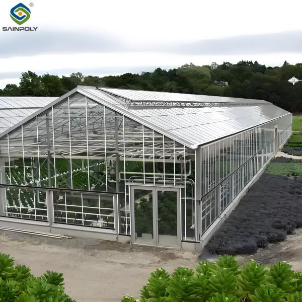 Quality Adjustable Shading Net Venlo Greenhouse Multi Span Glass Green House for sale