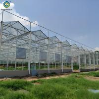Quality Adjustable Shading Net Venlo Greenhouse Multi Span Glass Green House for sale
