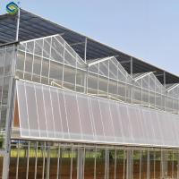 Quality Smart Multi Span Venlo Glass Greenhouse Solar Photovoltaic Greenhouses Fruit for sale