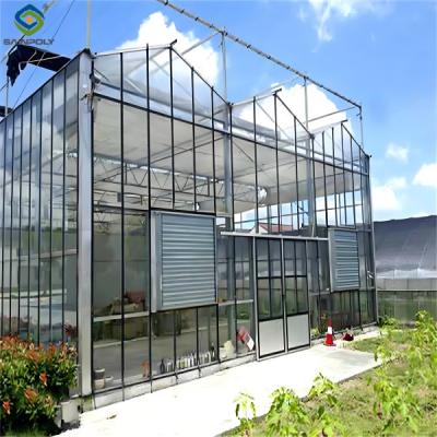 China Anti Reflective Automatic Venlo Glass Greenhouse With Agricultural Farming Systems for sale