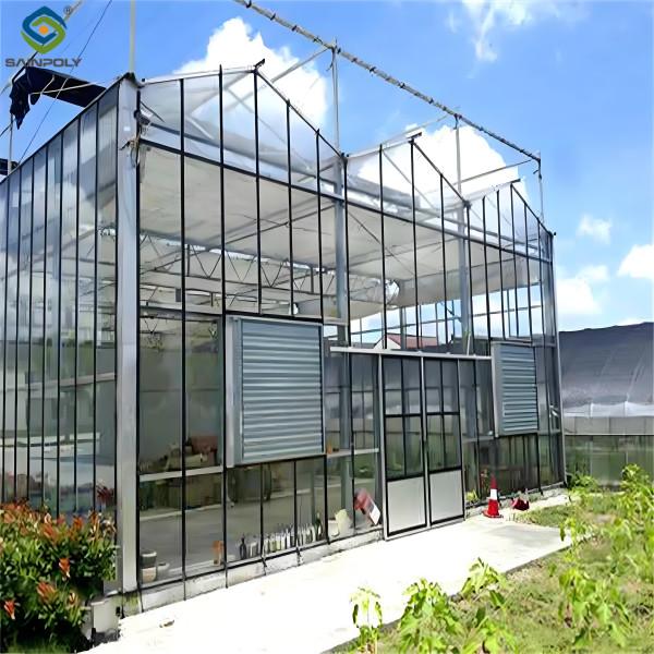 Quality Intelligent Venlo Glass Greenhouse For Tomato Strawberry Growing Turnkey Project for sale