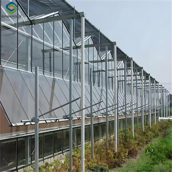 Quality Hydroponic Venlo PC Polycarbonate Solar Glass Greenhouse Customizable for sale