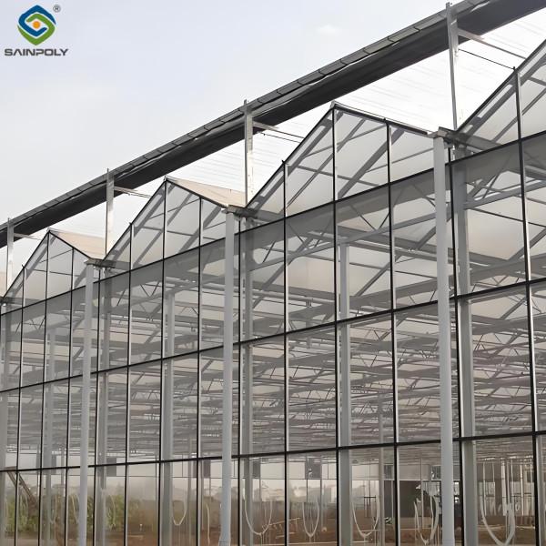 Quality Modern Venlo Greenhouse Farming Commercial Glass Greenhouse With Steel Frame for sale