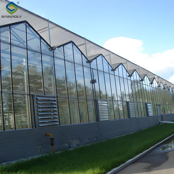 Quality Anti Reflective Automatic Venlo Glass Greenhouse With Agricultural Farming for sale