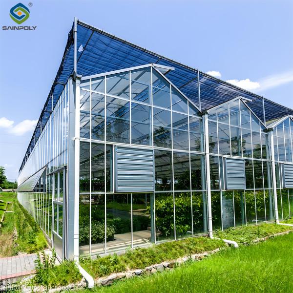Quality Strong Structure Galvanized Venlo Type Greenhouse Commerical Green House for sale