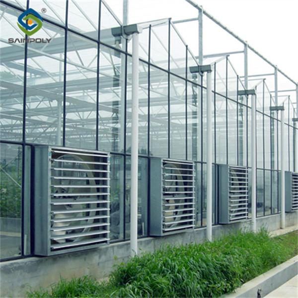 Quality Venlo Greenhouse Commercial Polycarbonate Glass Greenhouse For Seeds Vegetables for sale