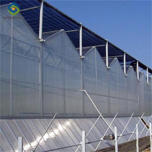 Quality Custom Dutch Venlo Greenhouse Modern Farms Greenhouse With Intelligent Control for sale