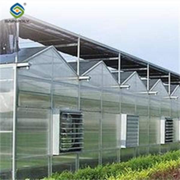 Quality Custom Dutch Venlo Greenhouse Modern Farms Greenhouse With Intelligent Control for sale