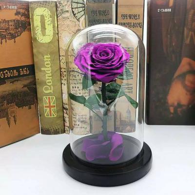 China Wholesale Forever Roses  preserved roses in glass dome Fresh flower rose Christmas Decorations for sale
