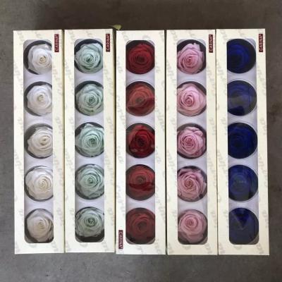 China Wholesale 6-7cm preserved flower dried roses natural stabilized rose for sale