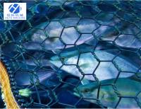 China Farming Fish Hexagonal Wire Mesh Anticorrosive Multifunctional Polyester for sale