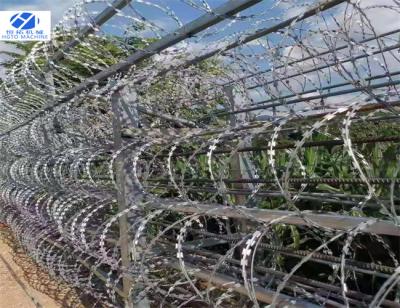 Cina Il cavo pungente a fisarmonica della lametta che fa la macchina ha galvanizzato automatico in vendita