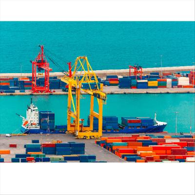 China Frete de mar internacional que envia DDP de China a Europa à venda