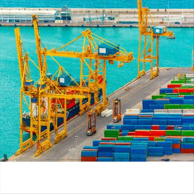 China Frete de mar internacional que envia DDP de China a Europa à venda