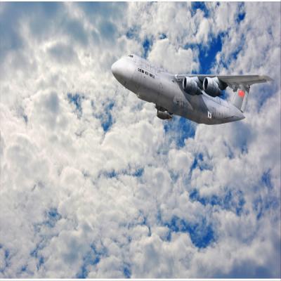 Cina Aereo da trasporto internazionale che trasmette DDP dalla Cina ad U.S.A./Regno Unito in vendita