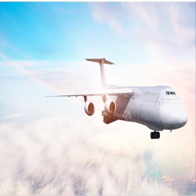 Cina Aereo da trasporto internazionale che trasmette DDP dalla Cina nel Messico in vendita
