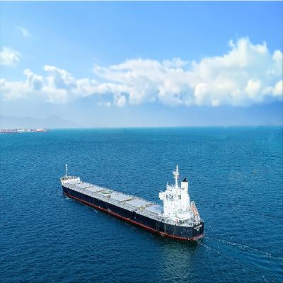 中国 クラスの国際的な海は中国からのメキシコへDDPを進めることに荷を積む 販売のため