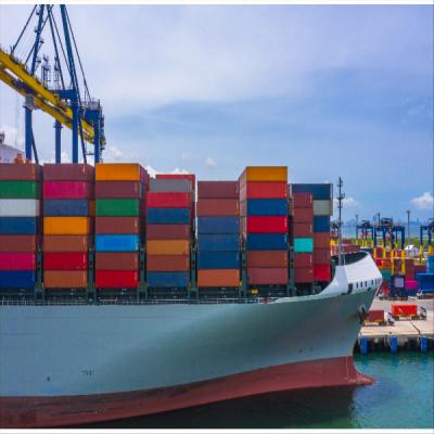 China DDP International Sea Freight Forwarding From China To Singapore for sale