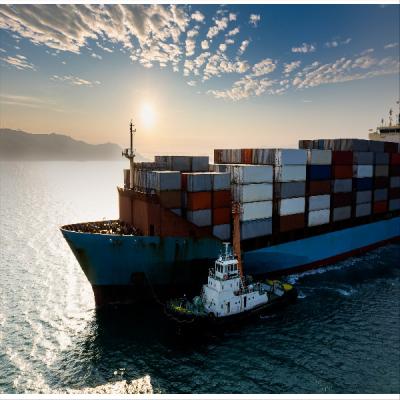 Cina Spedizioniere di trasporti via mare globale internazionale di DDU DDP dalla Cina in Polonia in vendita