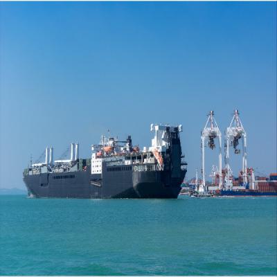China International Global DDU DDP Sea Freight Forwarder From China To Poland for sale
