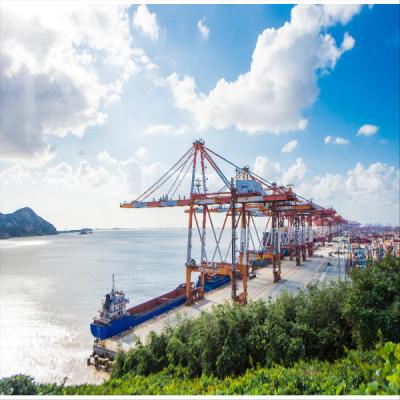 Cina Spedizioniere di trasporti via mare globale internazionale di FCL LCL dalla Cina in Turchia in vendita