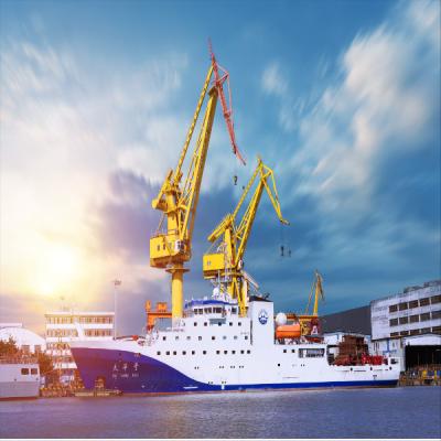 Cina Trasporti via mare internazionali di porta in porta che trasmettono DDP dalla Cina in Svezia in vendita