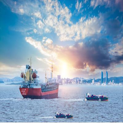 China International Sea Freight LCL FCL From China To Belgium Forwarding for sale