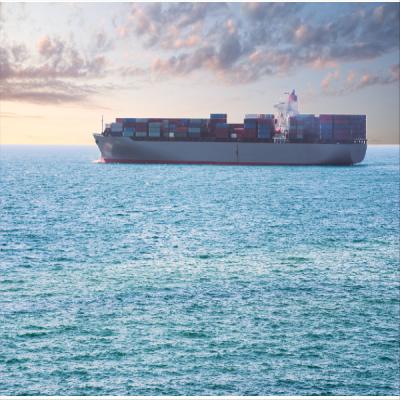 Cina Di porta in porta allo spedizioniere di trasporti via mare internazionale di Anversa LCL FCL in vendita