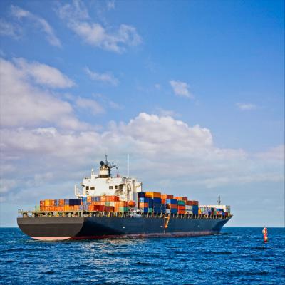 Cina Di porta in porta allo spedizioniere di trasporti via mare internazionale di Anversa LCL FCL in vendita