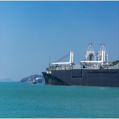 Cina Servizio internazionale dello spedizioniere FCL LCL DDU DDP di Seariders a Vienna in vendita