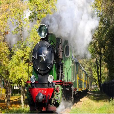 China International Ddu Ddp Railway Freight Forwarder From China To Poland for sale