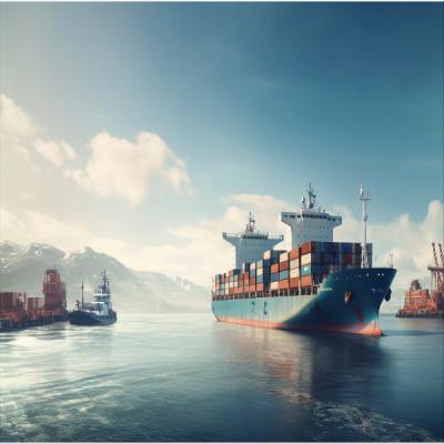 中国 中国からのダブリンへの専門LCL FCLの国際的な海の貨物運送業者サービス 販売のため