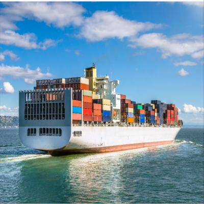Cina Servizio internazionale professionale dello spedizioniere di trasporti via mare di LCL FCL dalla Cina a Dublino in vendita