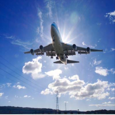 Cina Logistica globale internazionale Ddu del trasportatore degli spedizionieri dell'aria dalla Cina ad Israele in vendita