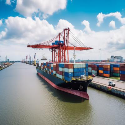Cina Dalla Cina a servizio internazionale di logistica di trasporto dei trasporti via mare del Vietnam in vendita