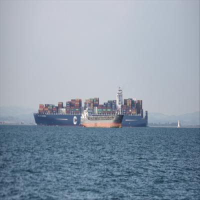Cina Servizio logistico di spedizione di merci da Cina alla Svizzera in vendita