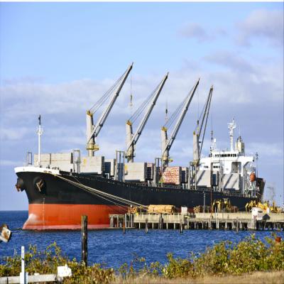 Китай Ddu Ddp Логистические морские пассажиры Грузоперевозчики от Шэньчжэня в другие страны продается
