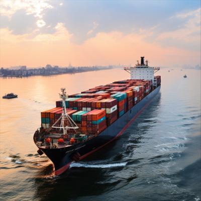 China DDP Carga marítima China Agente de envío Contenedor de envío Shenzhen a Europa en venta
