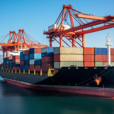 China Porta a porta Transportadores de carga marítima global DDU Serviço DDP da China para Southampton à venda
