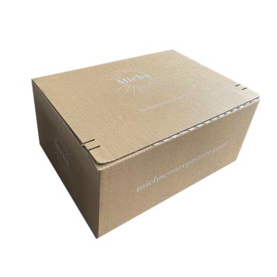 China Custom Logo Printing Recyclable Brown Cardboard E Flute C Flute BC Flute Corrugated Carton Box Packaging Delivery Shipping for sale