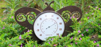 China Butterfly Thermometer with  Stake for sale