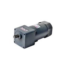 China Micro DC Compact Geared Motor Single Phase 50Hz 220V for sale