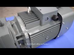 Induction Motor With Gear Reducer And VFD , AC Motor With Reducer