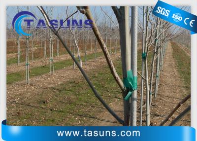 Cina Bastone UV di Rod For Plant Tree Support Pali della vetroresina di Pultruded dell'inibitore in vendita