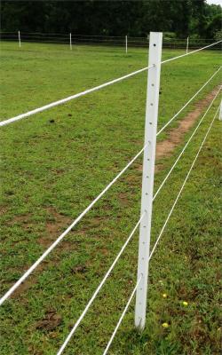 Cina Il giro pre ha perforato la vetroresina Rod Electric Fence Posts Rods di Pultruded in vendita