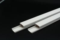 China PVC Cable Trunking 30X17 mm 2 Cable Trunking Systems for sale
