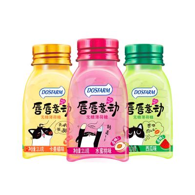 China 21.8g Colorful Bottle Customized Flavor OEM Service Sugar Free Vitamin C Healthy Mint Candy After Dinner Mints for sale