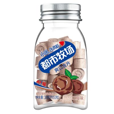 중국 저지방 건강 하드 사탕 플룸 맛 탄수화물 없는 사탕 판매용