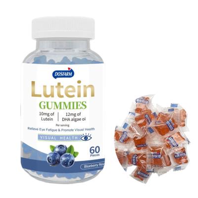 Cina Caramelle gommose personalizzate Funzionale Luteina DHA Salute Blueberry Caramelle gommose in vendita